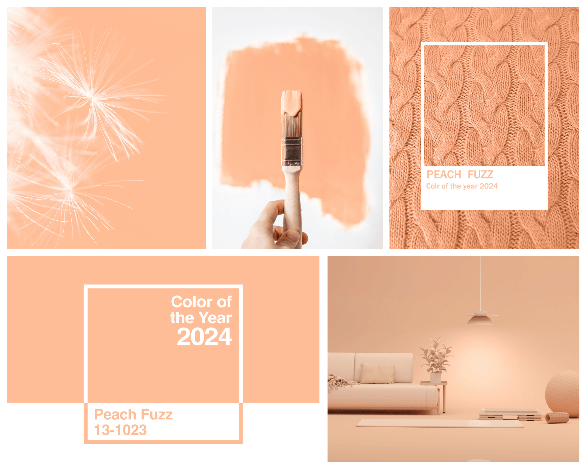 Peach Fuzz - The Pantone Color of the Year 2024 | Elite Selects